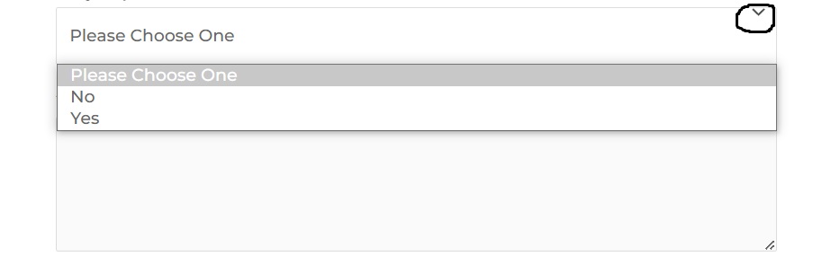 Issue with dropdown menu arrow – aligned to top of dropdown | WordPress.org Issue with dropdown menu arrow – aligned to top of dropdown | WordPress.org